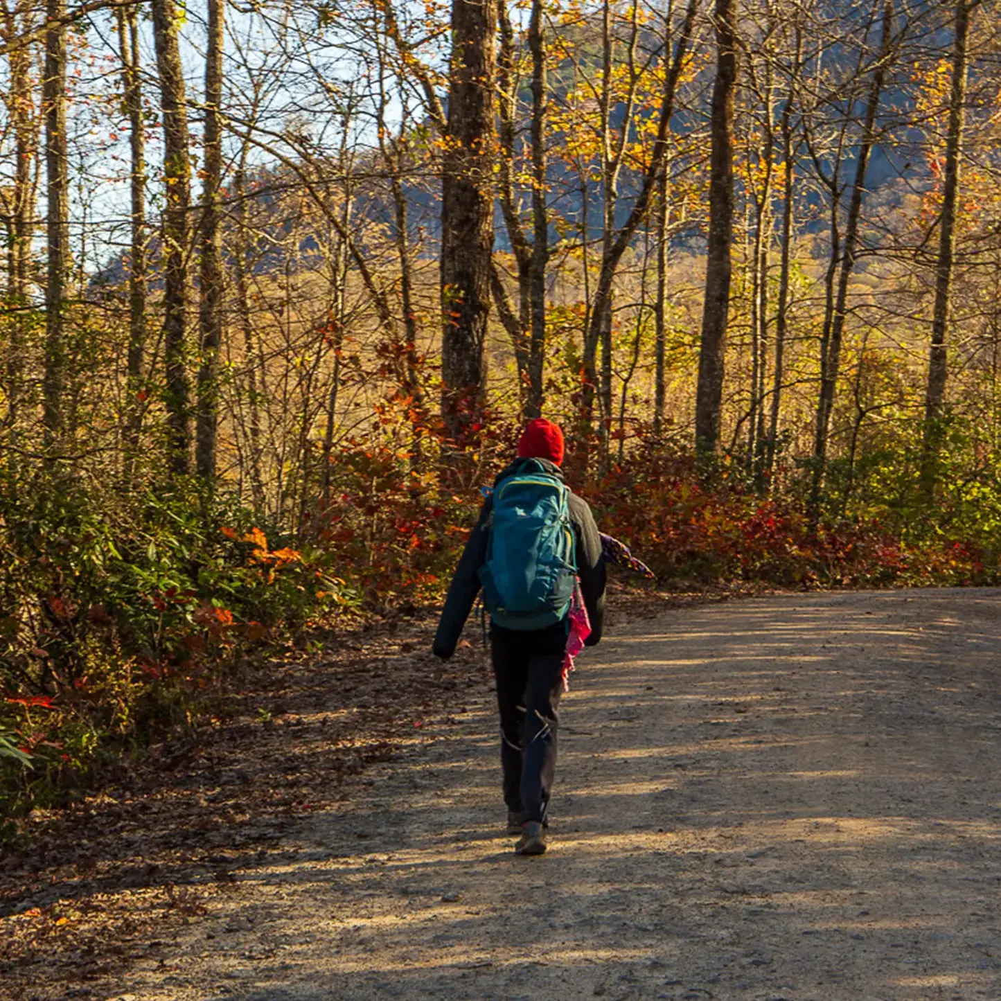 Wilderness Orienteering Primer - Earthshine Lodge